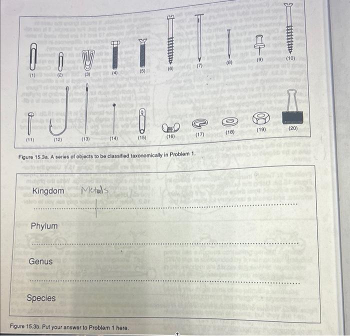 Problem 1: Twenty inanimate objects are shown in | Chegg.com