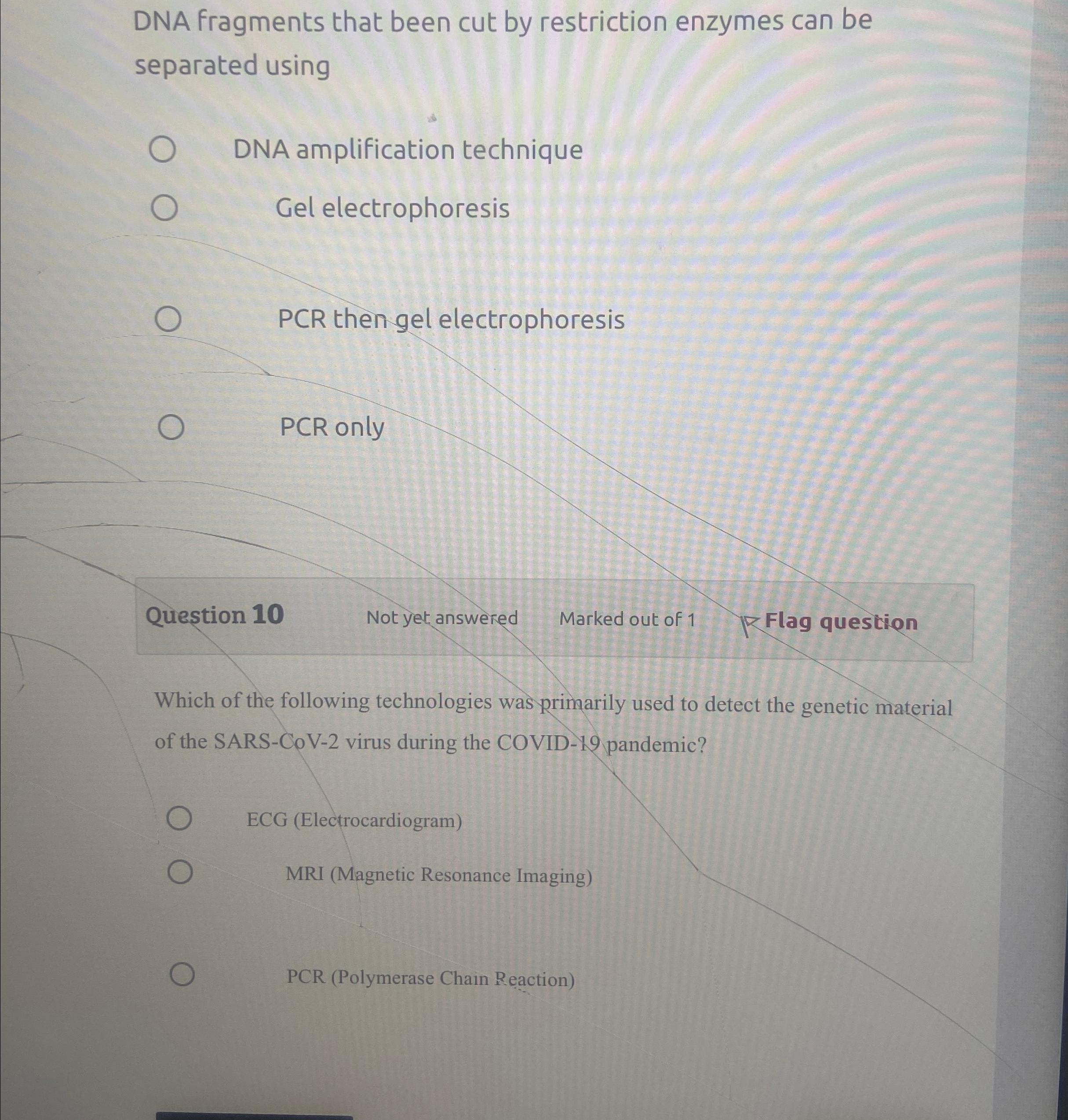 Solved DNA fragments that been cut by restriction enzymes | Chegg.com