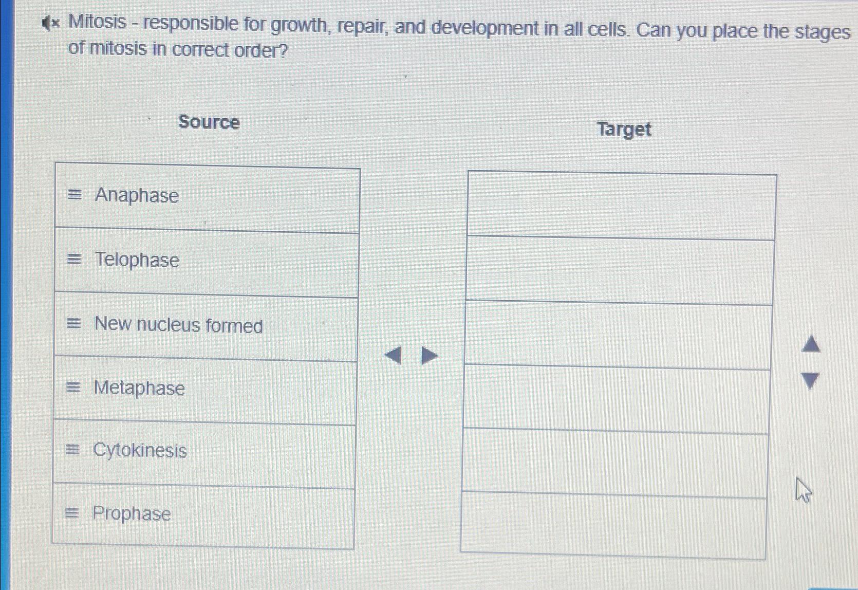 Solved 4x Mitosis - ﻿responsible for growth, repair, and | Chegg.com