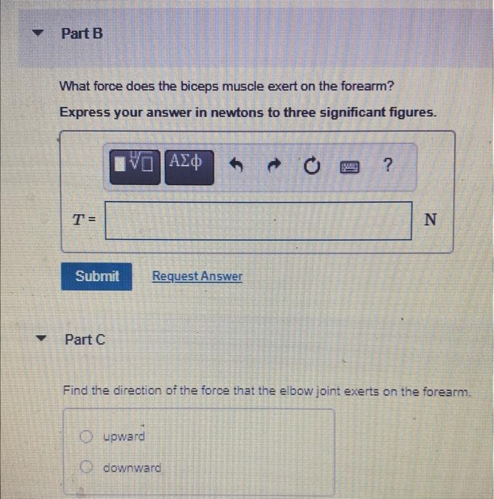 Solved A 71.0-kg weight lifter is doing arm raises using a | Chegg.com