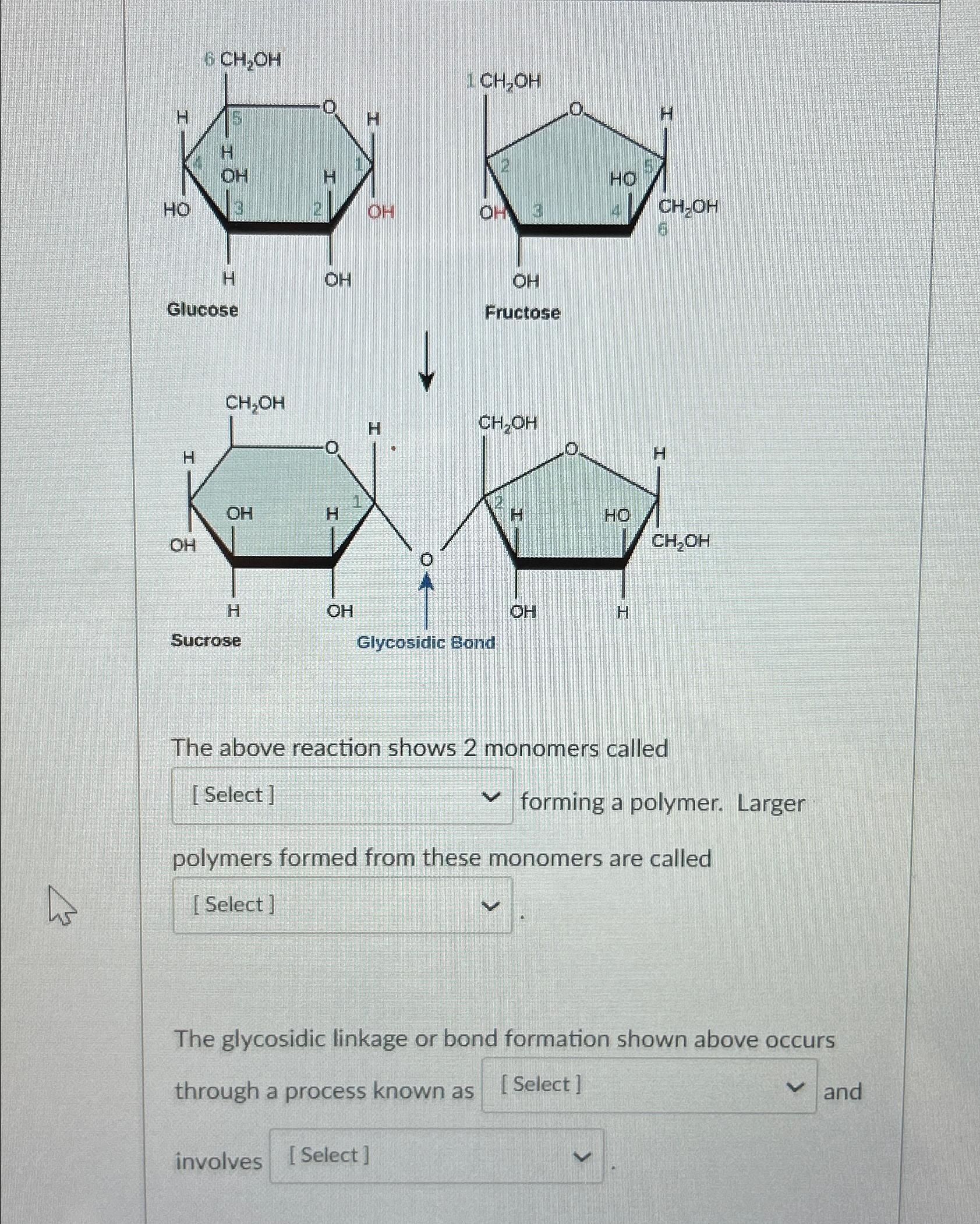 Solved The above reaction shows 2 ﻿monomers called | Chegg.com