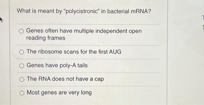 Solved What is meant by "polycistronic" in bacterial mRNA? | Chegg.com