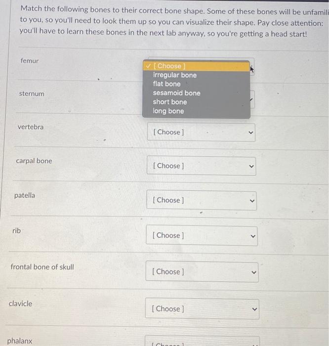 Solved Match the following bones to their correct bone | Chegg.com