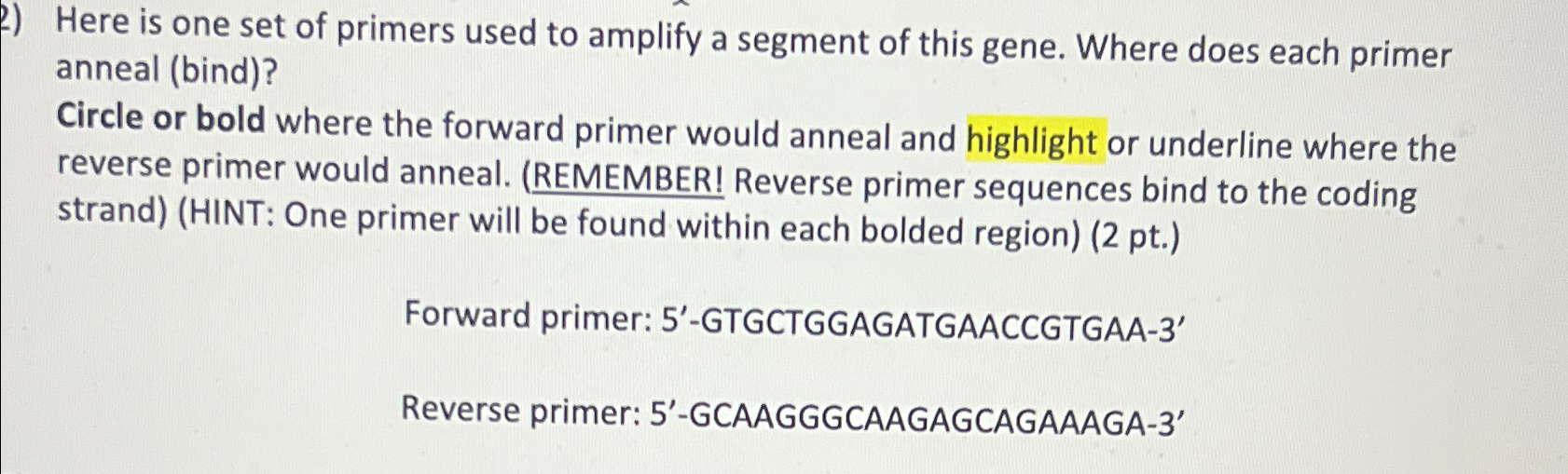 Solved Here is one set of primers used to amplify a segment | Chegg.com