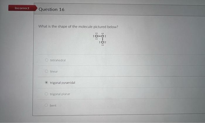 Solved What is the shape of the molecule pictured below? | Chegg.com