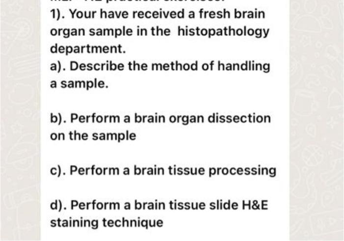 Solved 1). Your have received a fresh brain organ sample in | Chegg.com