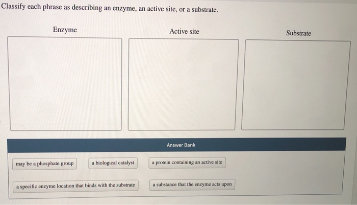 Solved Classify each phrase as describing an enzyme, an | Chegg.com