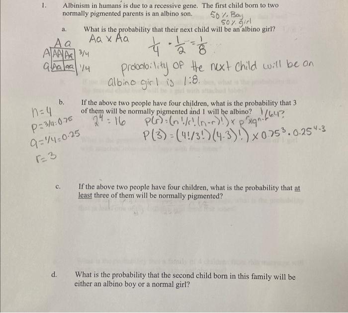 Solved 1. Albinism in humans is due to a recessive gene. The | Chegg.com