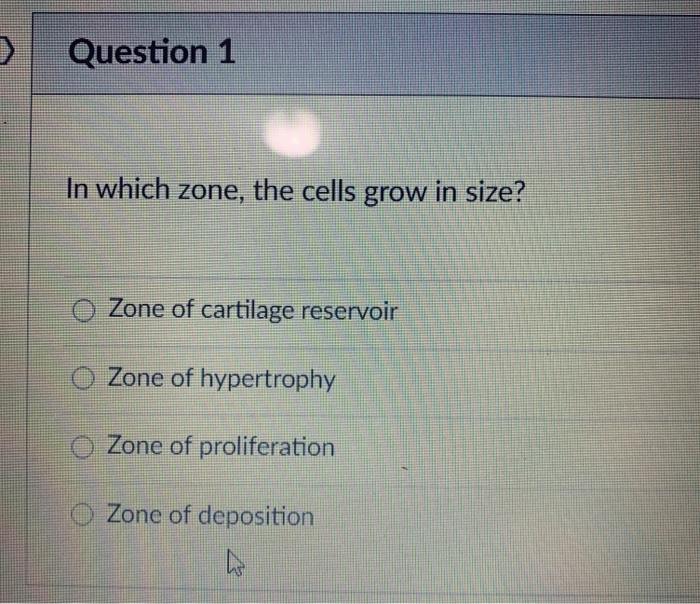 Solved Question 1 In which zone, the cells grow in size? | Chegg.com