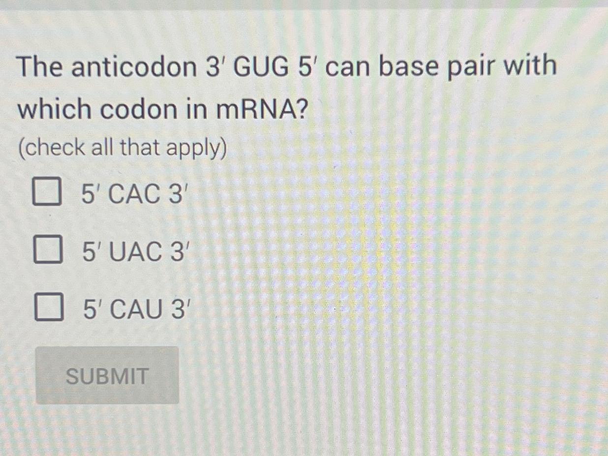 Solved The anticodon 3' ﻿GUG 5' ﻿can base pair with which | Chegg.com