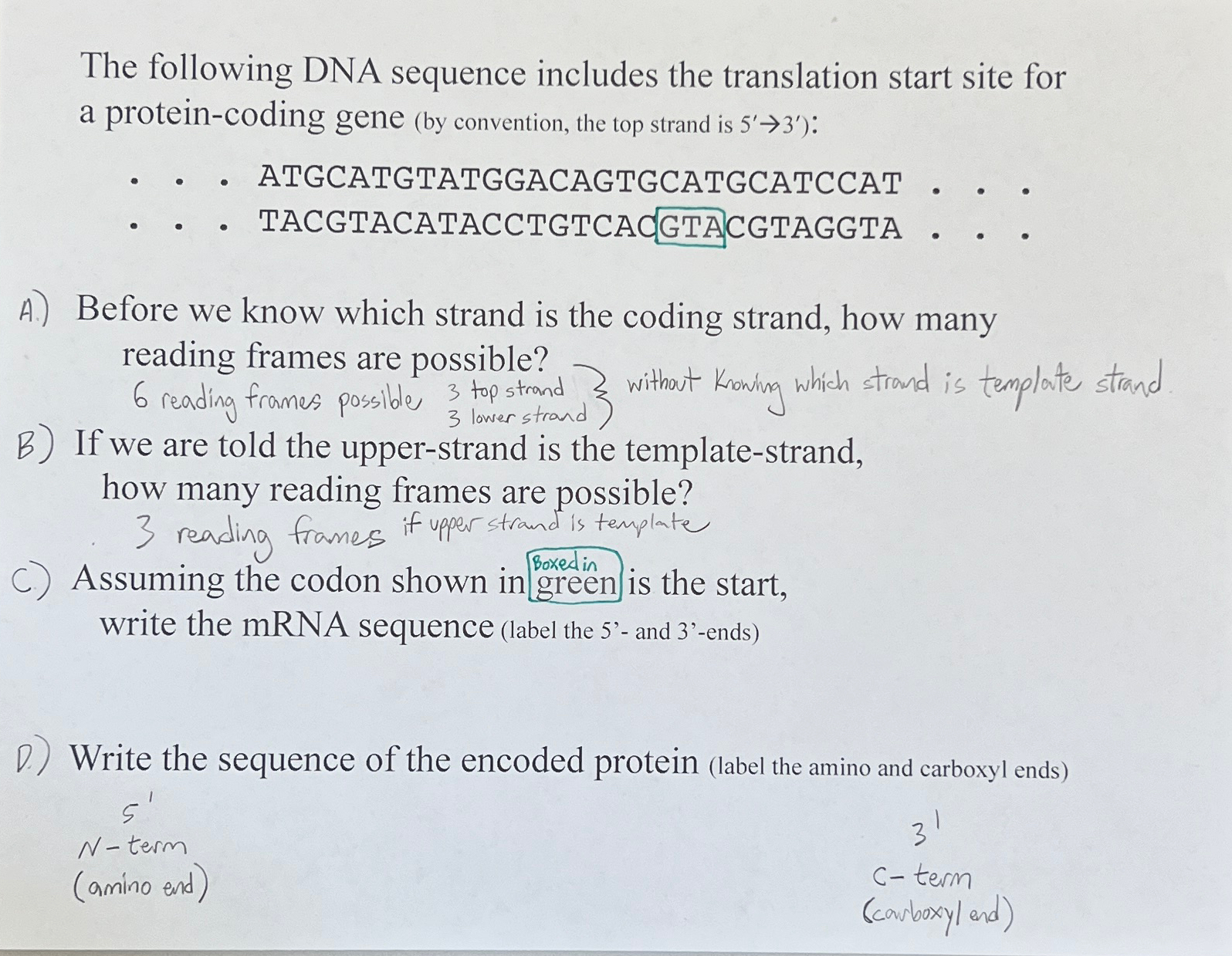 Solved Please help with part C and DThe following DNA | Chegg.com
