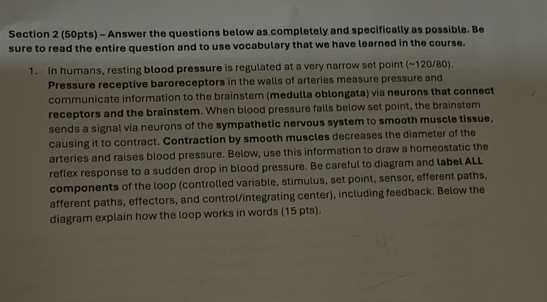 Solved Section 2 (50pts) - ﻿Answer the questions below as | Chegg.com