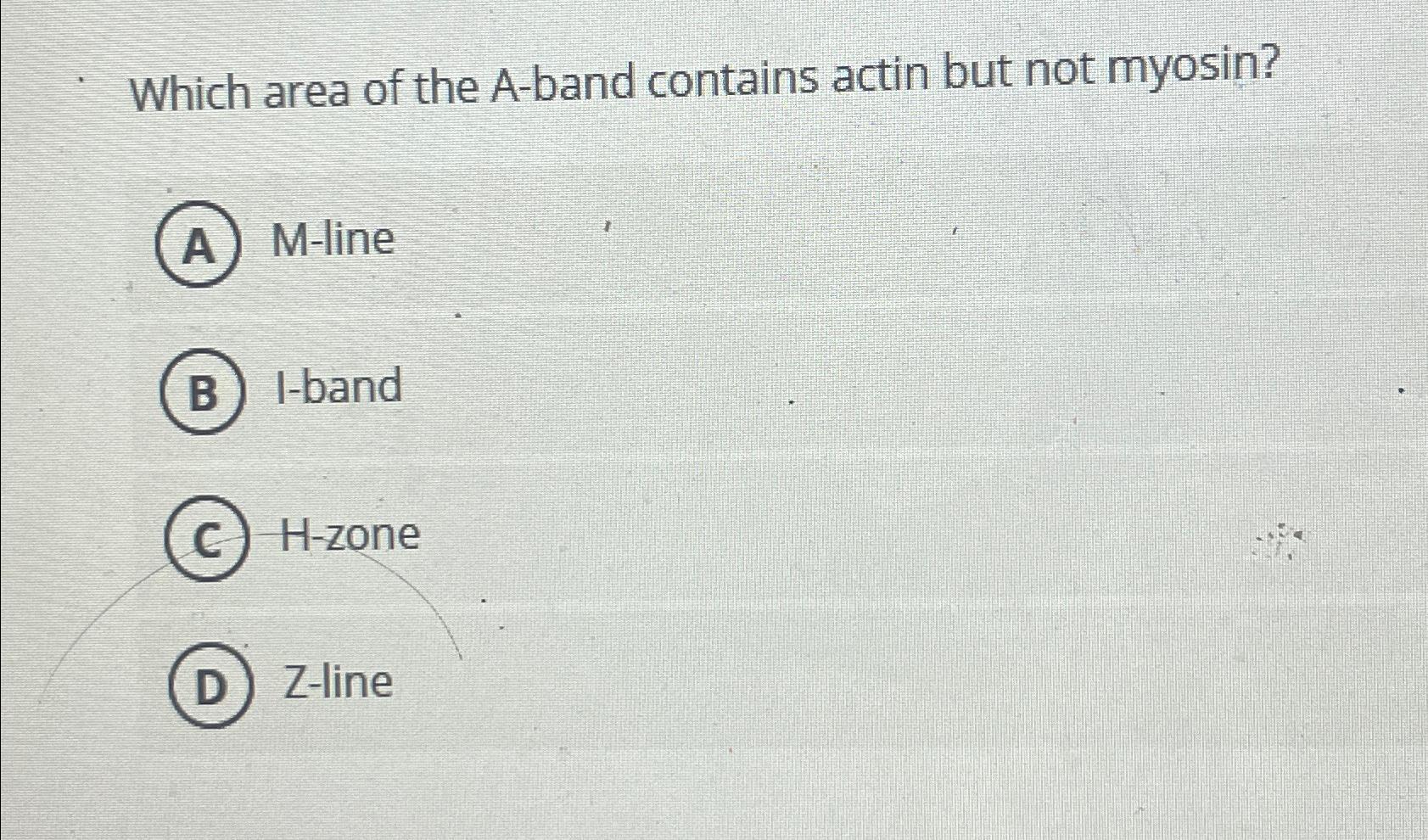 Solved Which area of the A-band contains actin but not | Chegg.com
