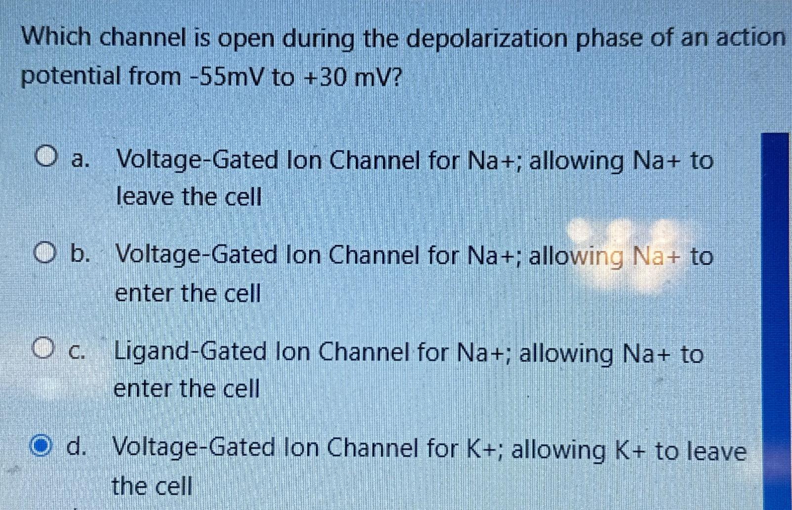 Which channel is open during the depolarization phase | Chegg.com