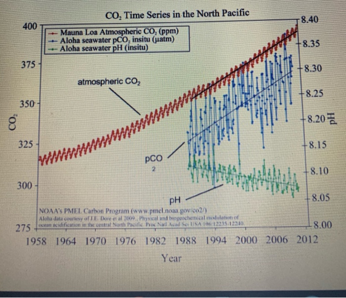 Solved A. In the space below explain why pCO2 and pH are | Chegg.com