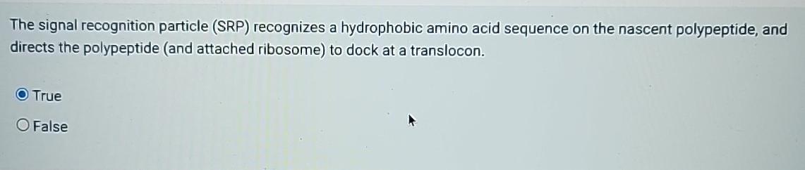 Solved The signal recognition particle (SRP) ﻿recognizes a | Chegg.com