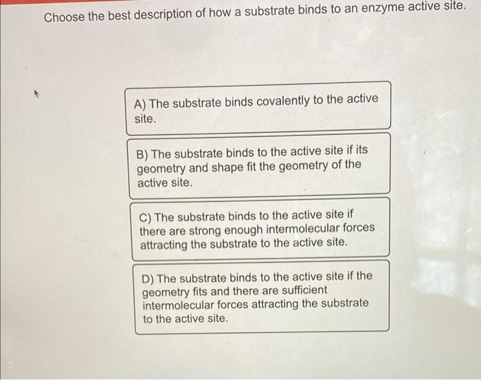 Solved Choose the best description of how a substrate binds | Chegg.com