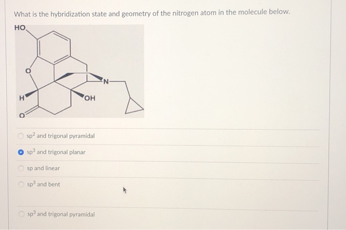 Solved What is the hybridization state and geometry of the | Chegg.com