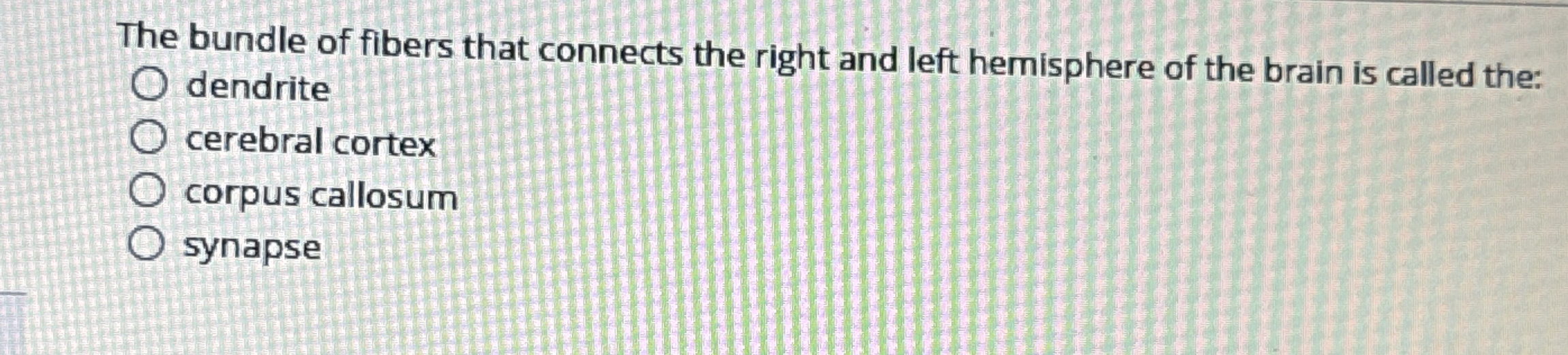 Solved The bundle of fibers that connects the right and left | Chegg.com