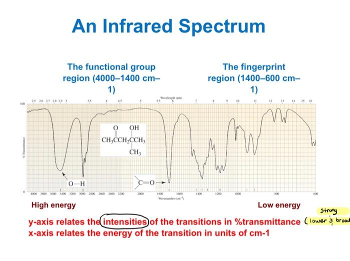 can you please help point out and identify the | Chegg.com