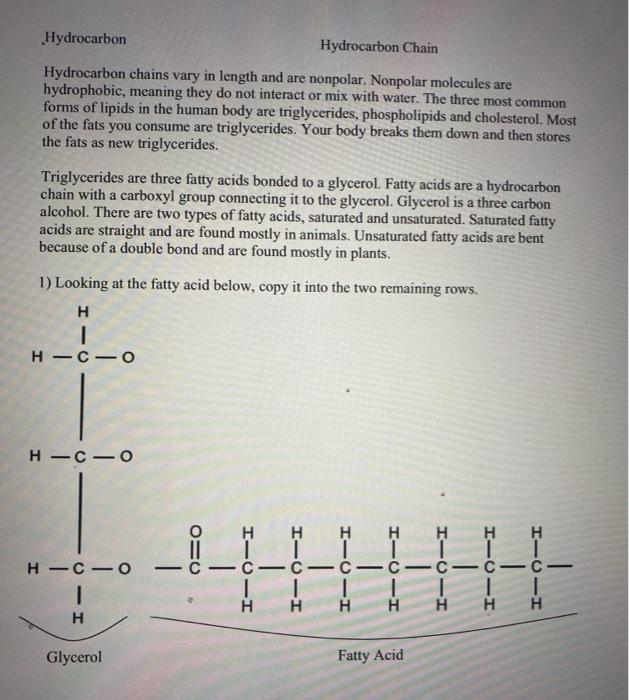 Solved Hydrocarbon Hydrocarbon Chain Hydrocarbon chains vary | Chegg.com