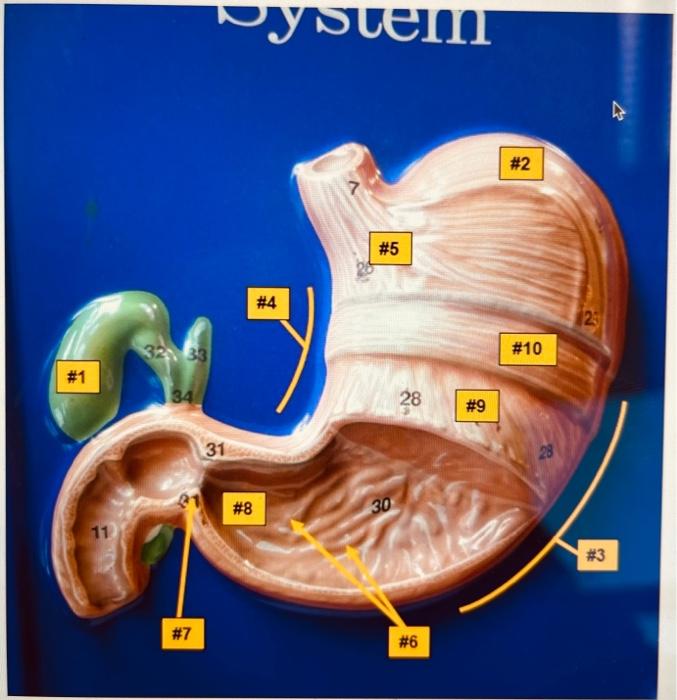 Solved #1 #3 #2 #6 #4 #7 #5 #8 #9 #12 #10 #13 #11 #14 | Chegg.com