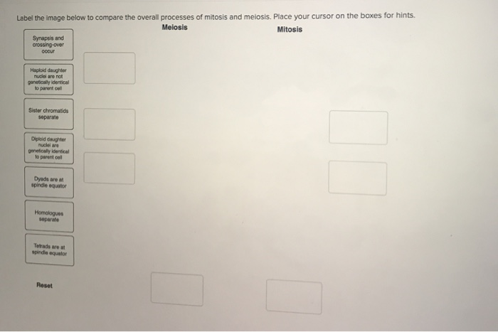 Solved Label the image below to compare the overall | Chegg.com