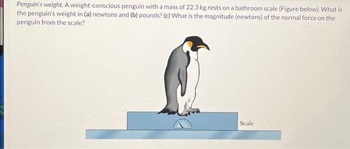 Solved Penguin's weight. A weight-conscious penguin with a | Chegg.com