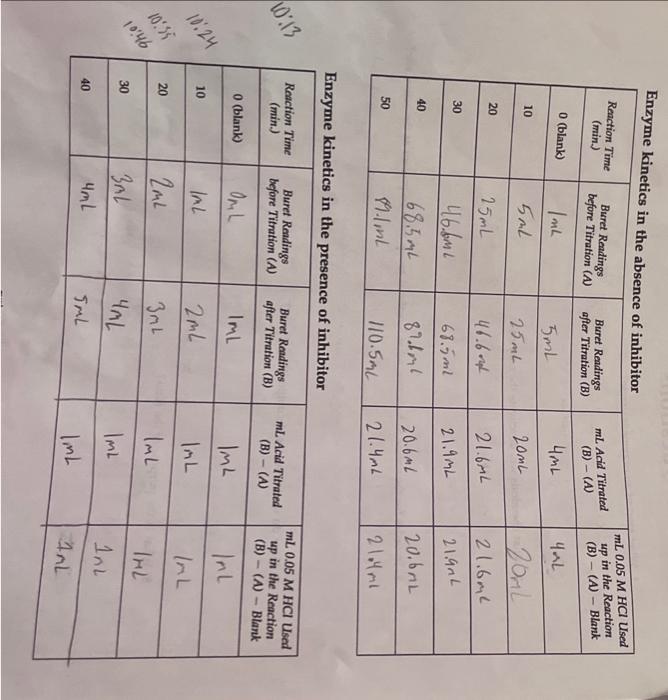 Solved Enzyme kinetics in the shonmen. .c...... Enzyme | Chegg.com
