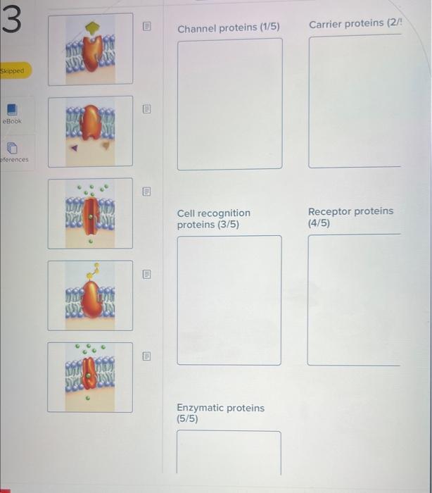 Solved classify the following images and descriptions based | Chegg.com