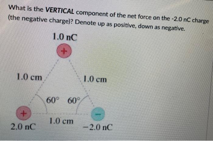 Solved What is the VERTICAL component of the net force on | Chegg.com