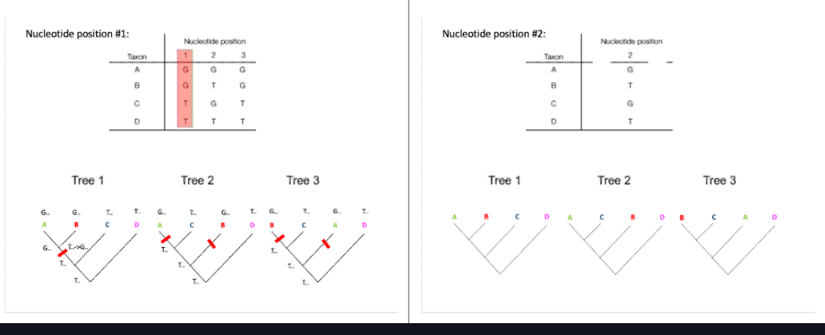 Solved Draw steps on tree 1, ﻿tree 2 ﻿and tree 3 ﻿for the | Chegg.com