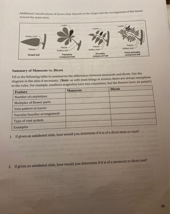Solved Additional classifications of leaves may depend on | Chegg.com