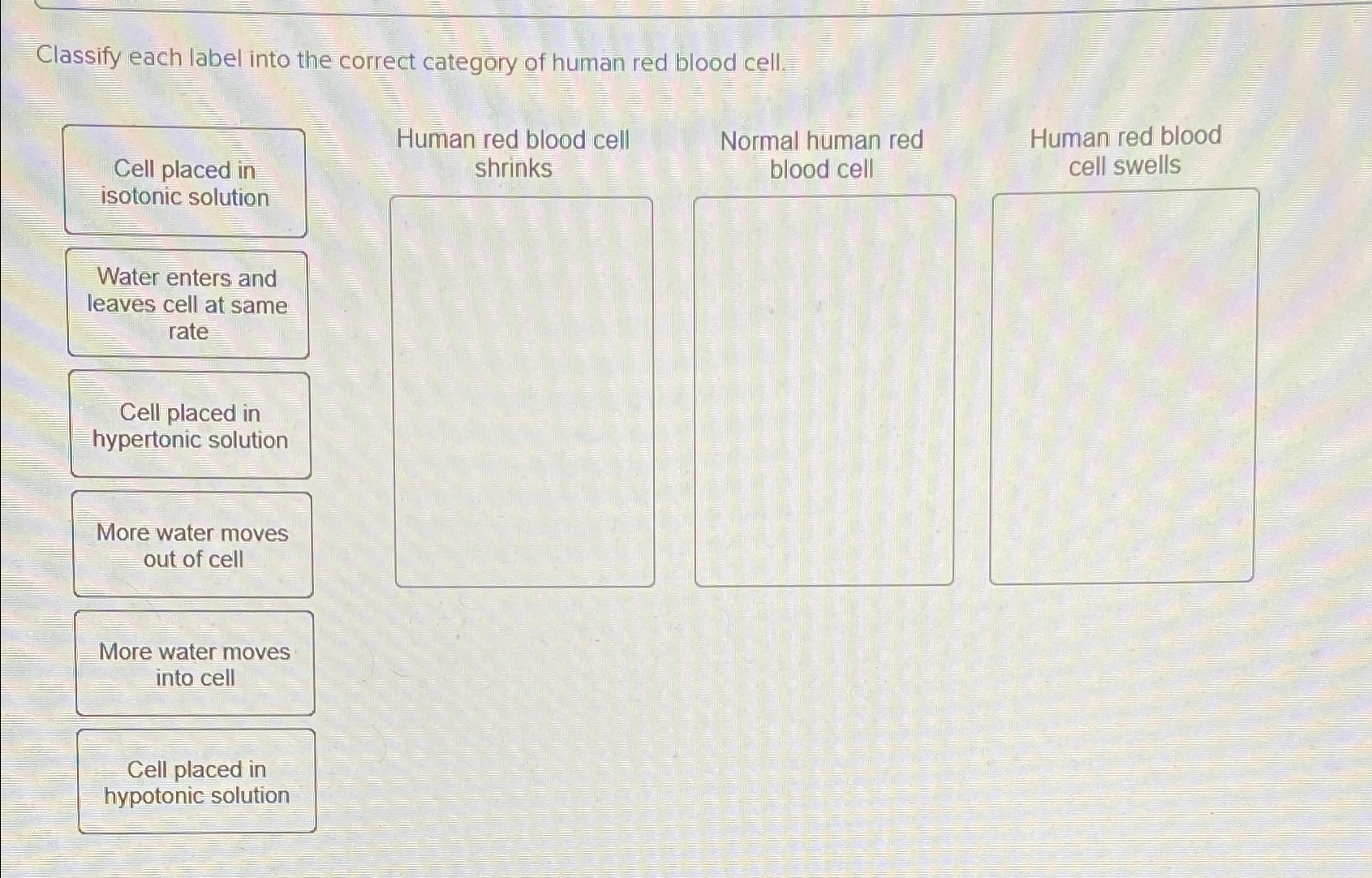 Solved Classify each label into the correct category of | Chegg.com