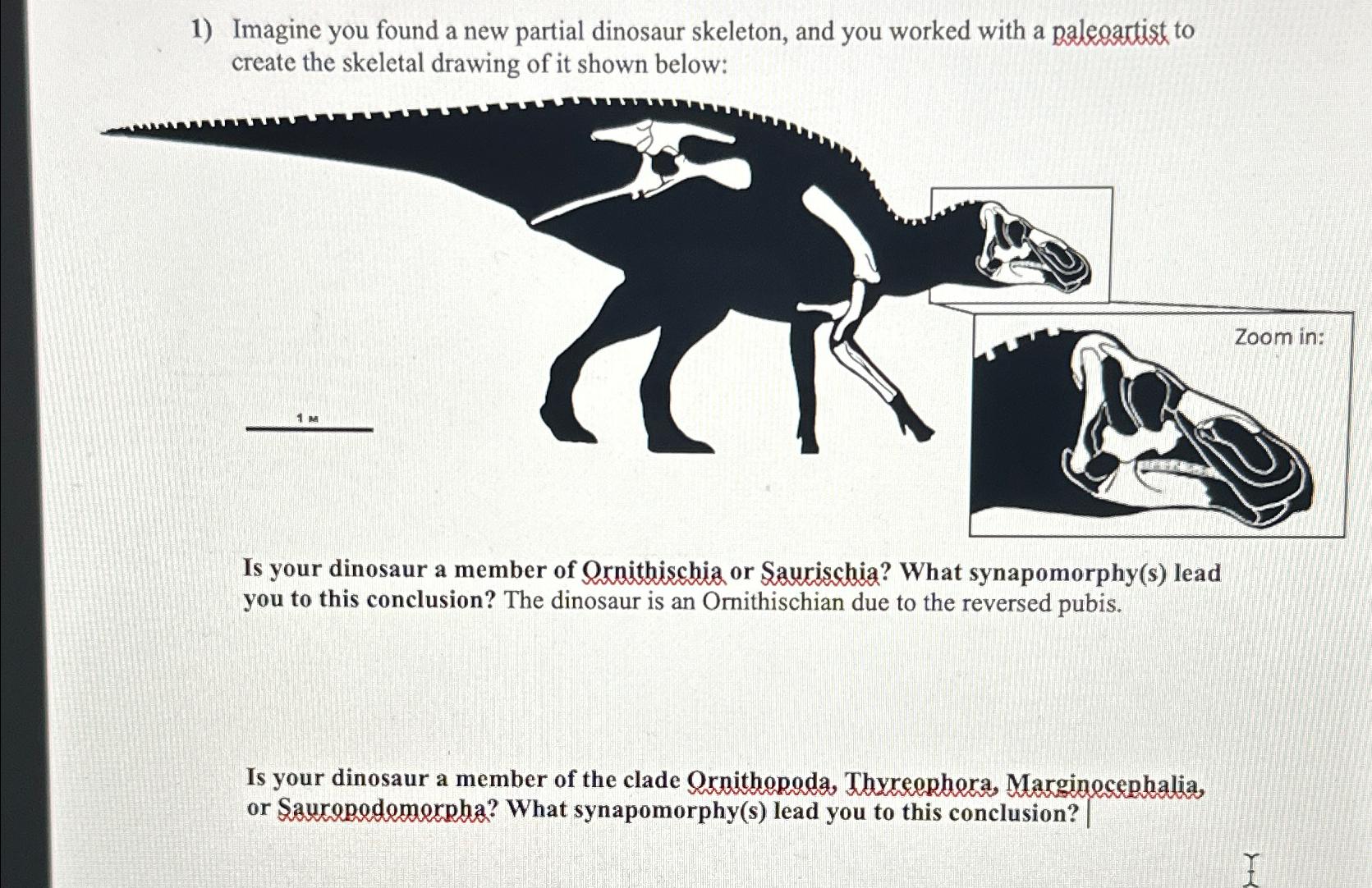 Solved Imagine you found a new partial dinosaur skeleton, | Chegg.com