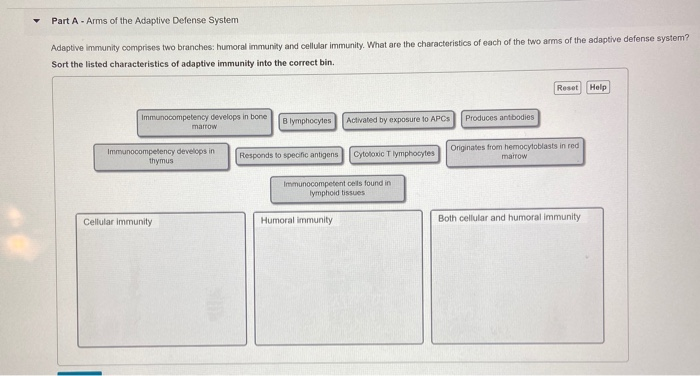 Solved Part A - Arms of the Adaptive Defense System Adaptive | Chegg.com