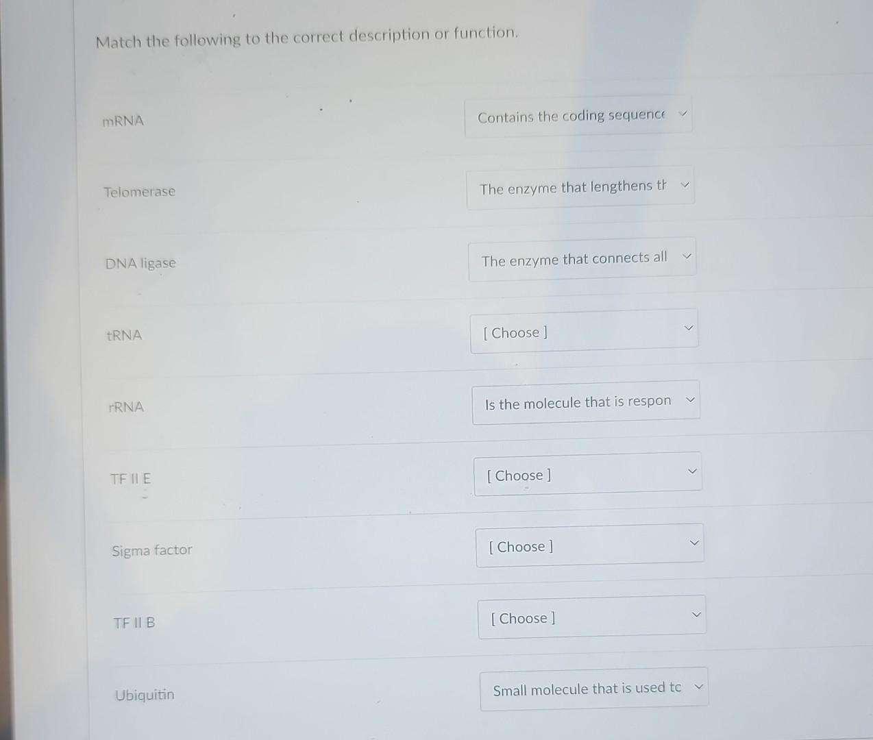 Solved Match the following to the correct description or | Chegg.com
