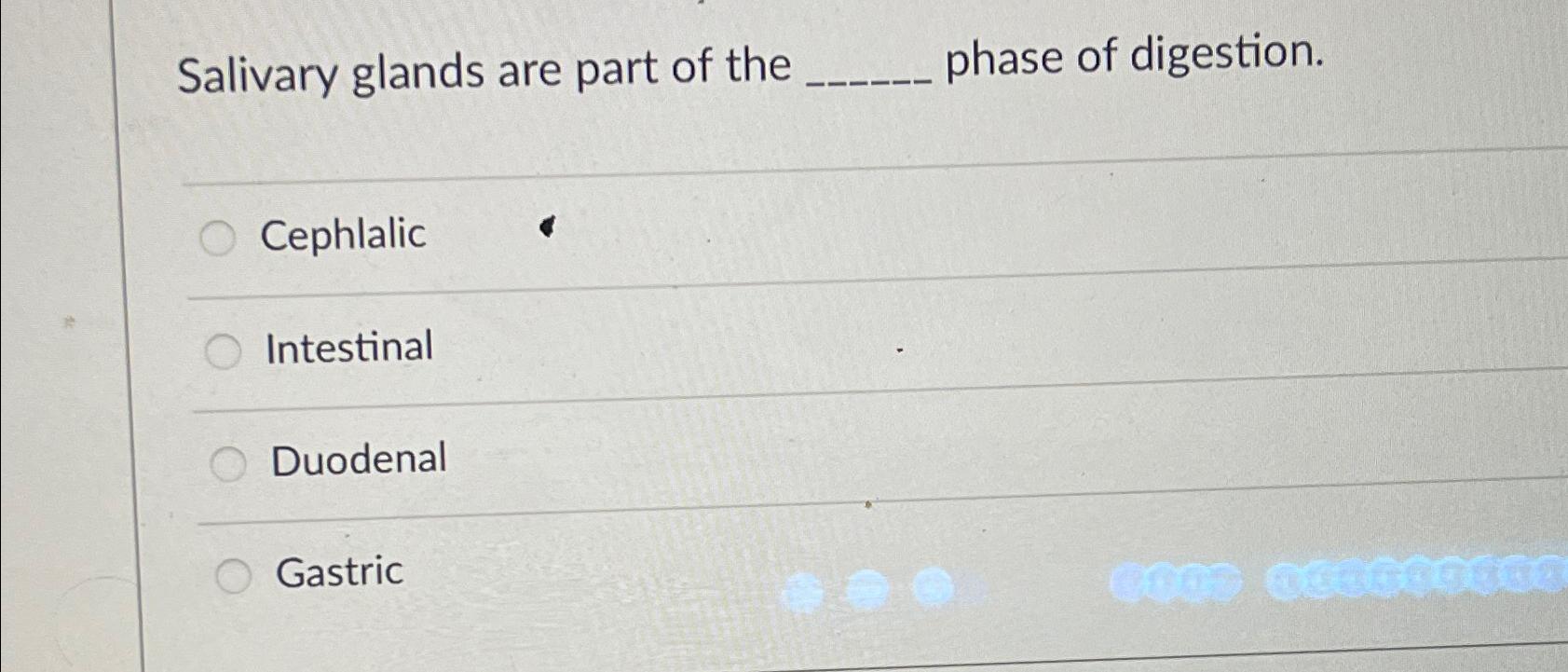 Solved Salivary glands are part of the phase of | Chegg.com