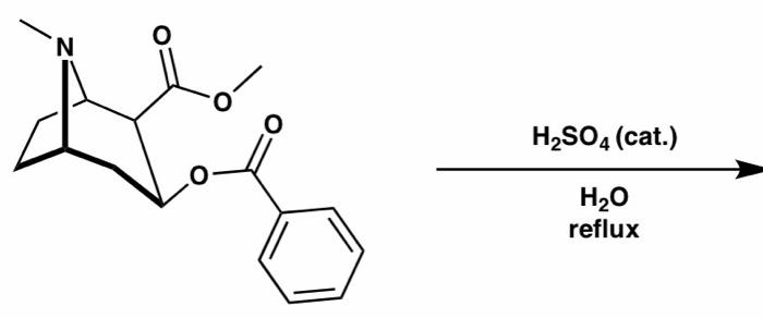 Solved N H2SO4 (cat.) H20 reflux | Chegg.com