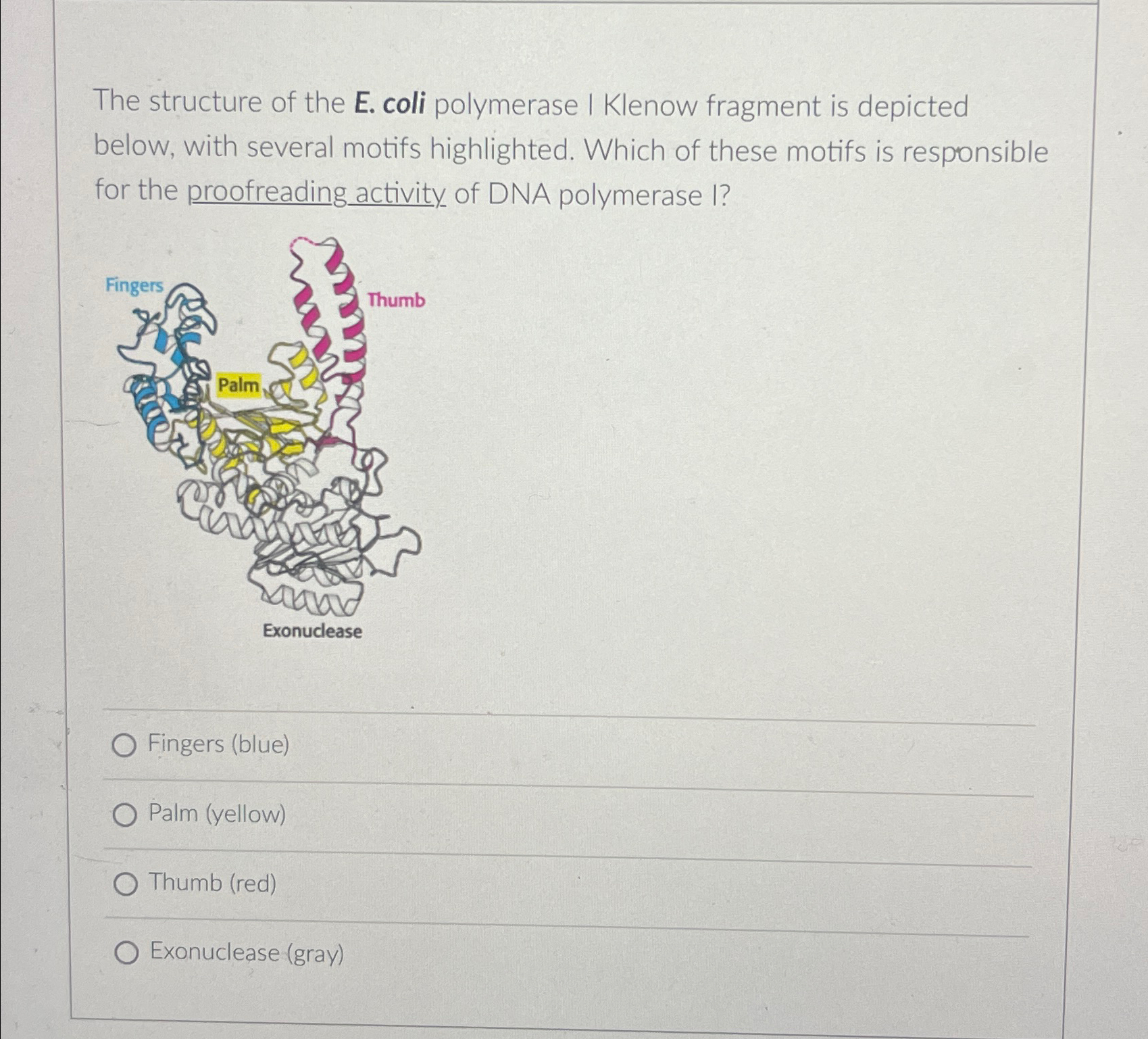 Solved The Structure Of The E ﻿coli Polymerase I Klenow