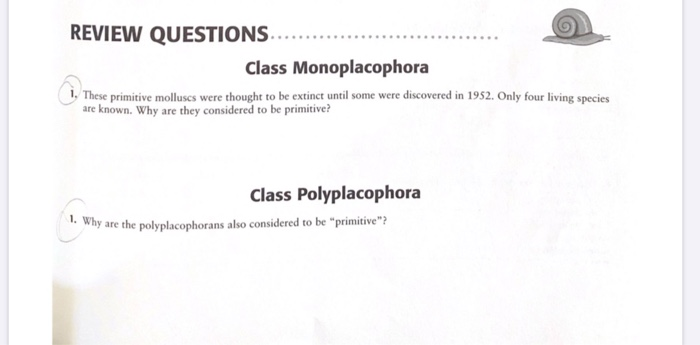 Solved REVIEW QUESTIONS..... Class Monoplacophora 1. These | Chegg.com