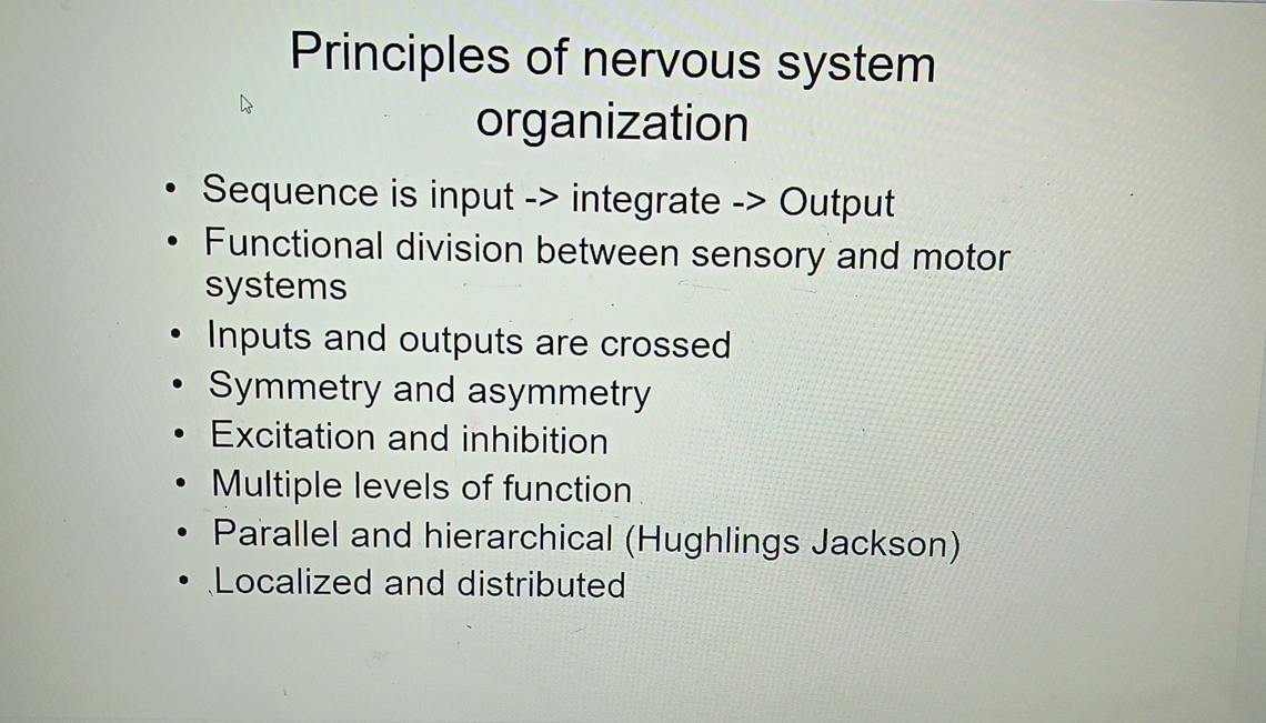 Solved Principles of nervous system organizationSequence is | Chegg.com