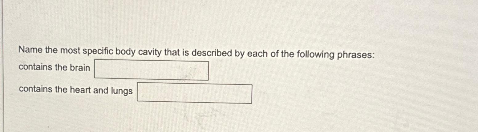 Solved Name the most specific body cavity that is described | Chegg.com