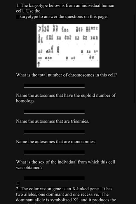 Solved 1. The karyotype below is from an individual human | Chegg.com