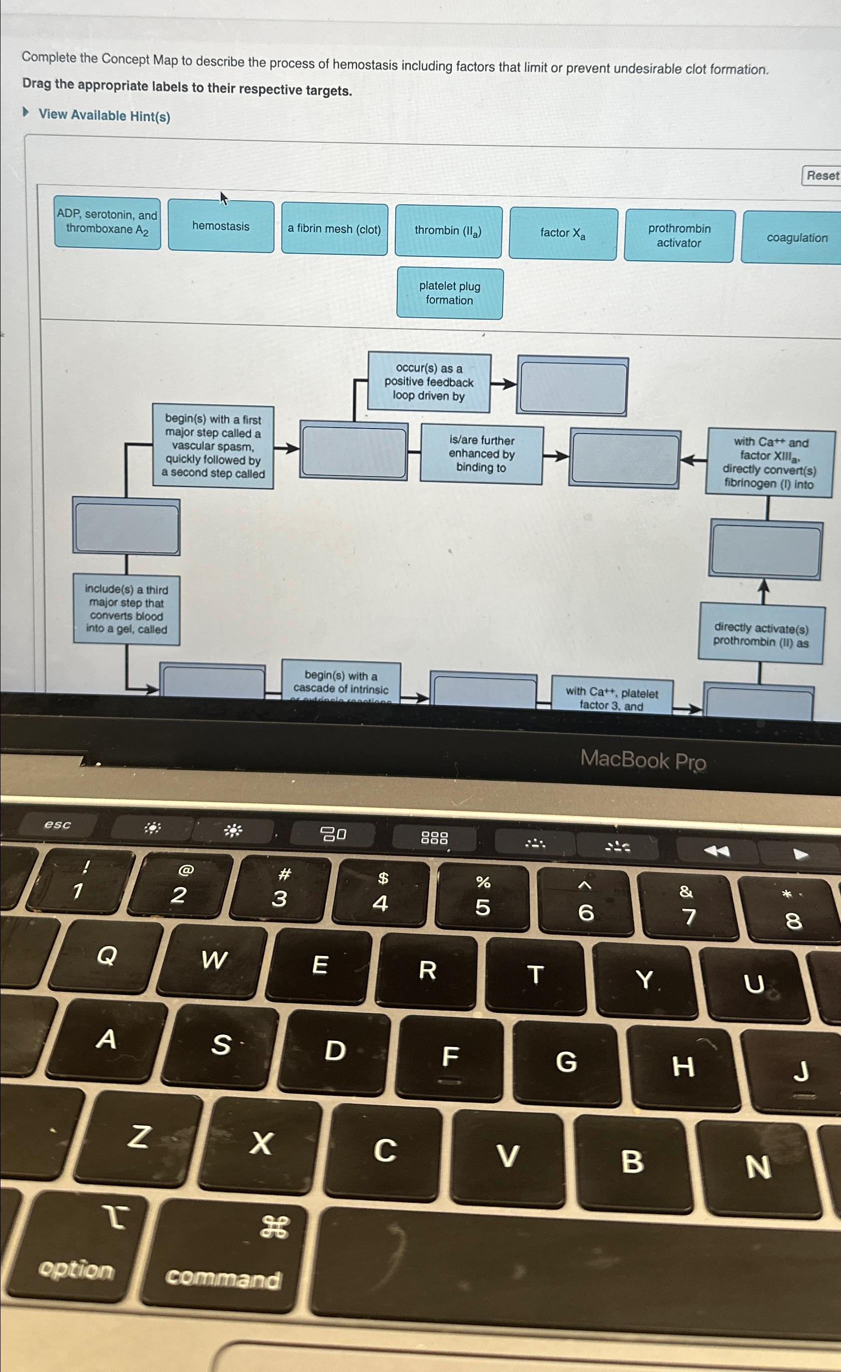 Complete the Concept Map to describe the process of | Chegg.com