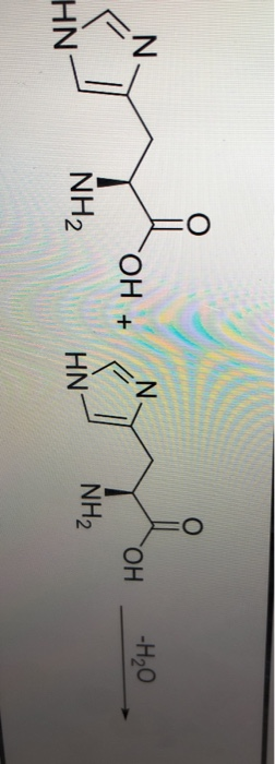 Solved O N. OH + N OH -H20 NH2 HN NH2 HN | Chegg.com
