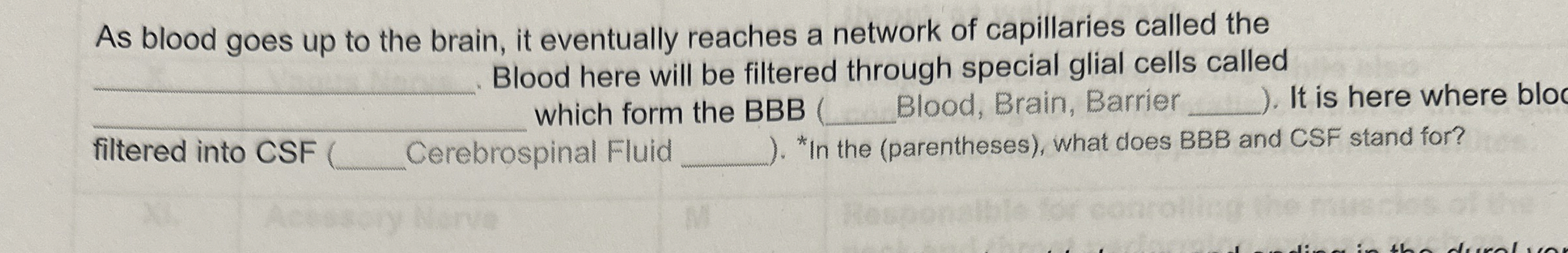 Solved As blood goes up to the brain, it eventually reaches | Chegg.com