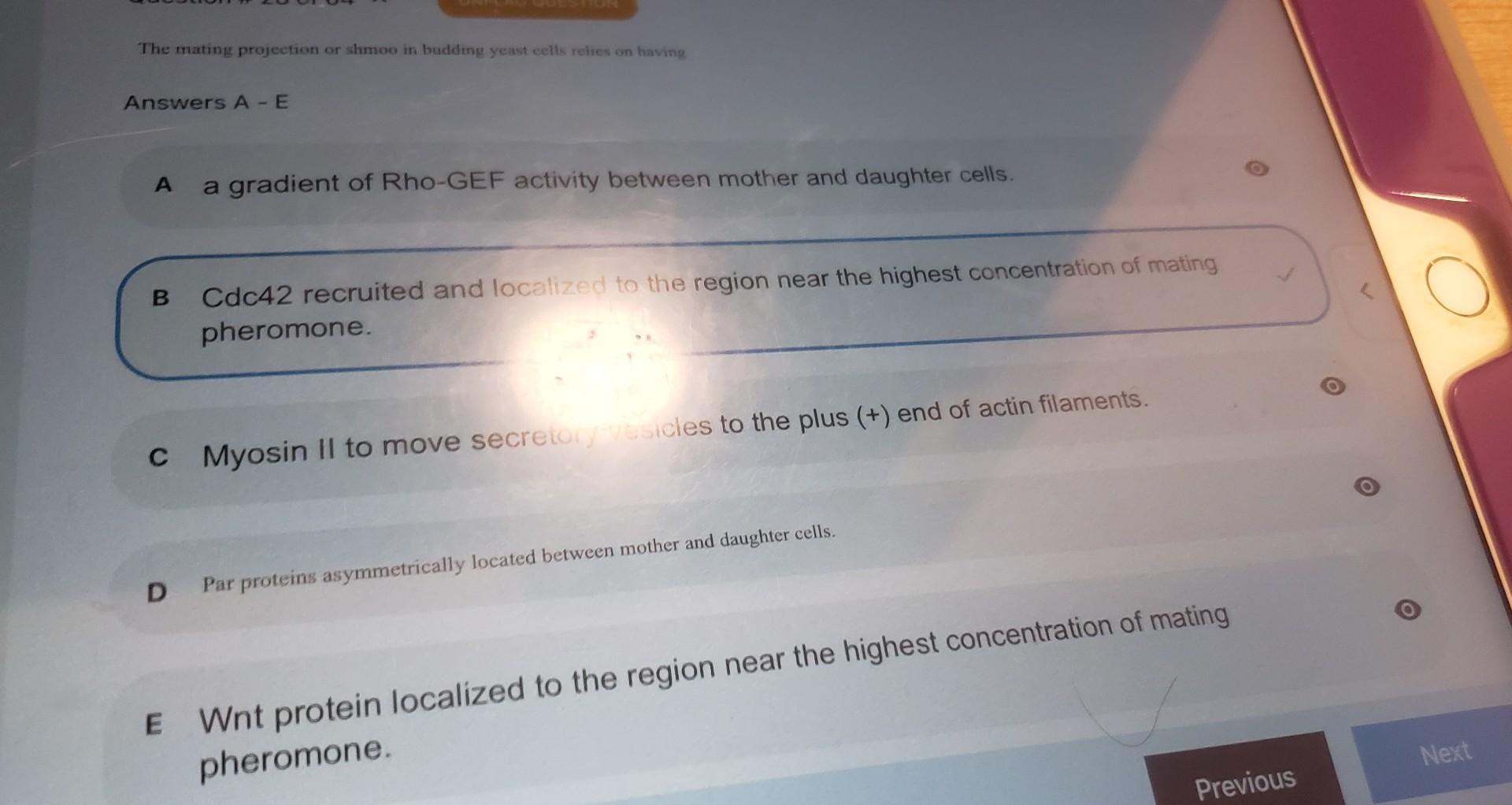 Solved The mating projection or shmoo in budding yeast cells | Chegg.com