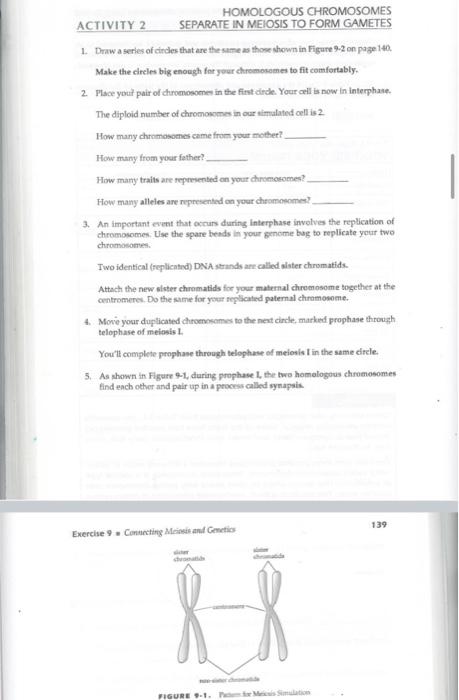 HOMOLOGOUS CHROMOSOMES ACTIVITY 2 SEPARATE IN MEIOSIS | Chegg.com