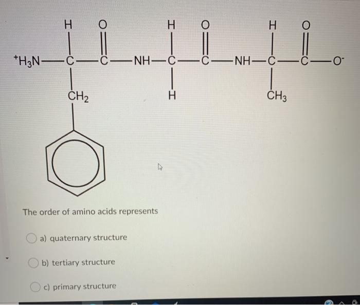 Solved H O H O Н. O *H3N—C—C—NH-C-C-NH-C—C—0- CH2 H CH3 O | Chegg.com